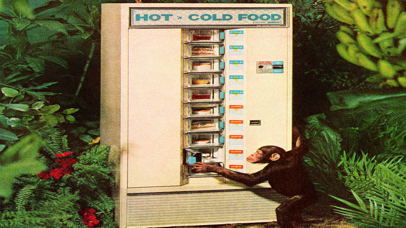 The amusing link between animals and vending machines!